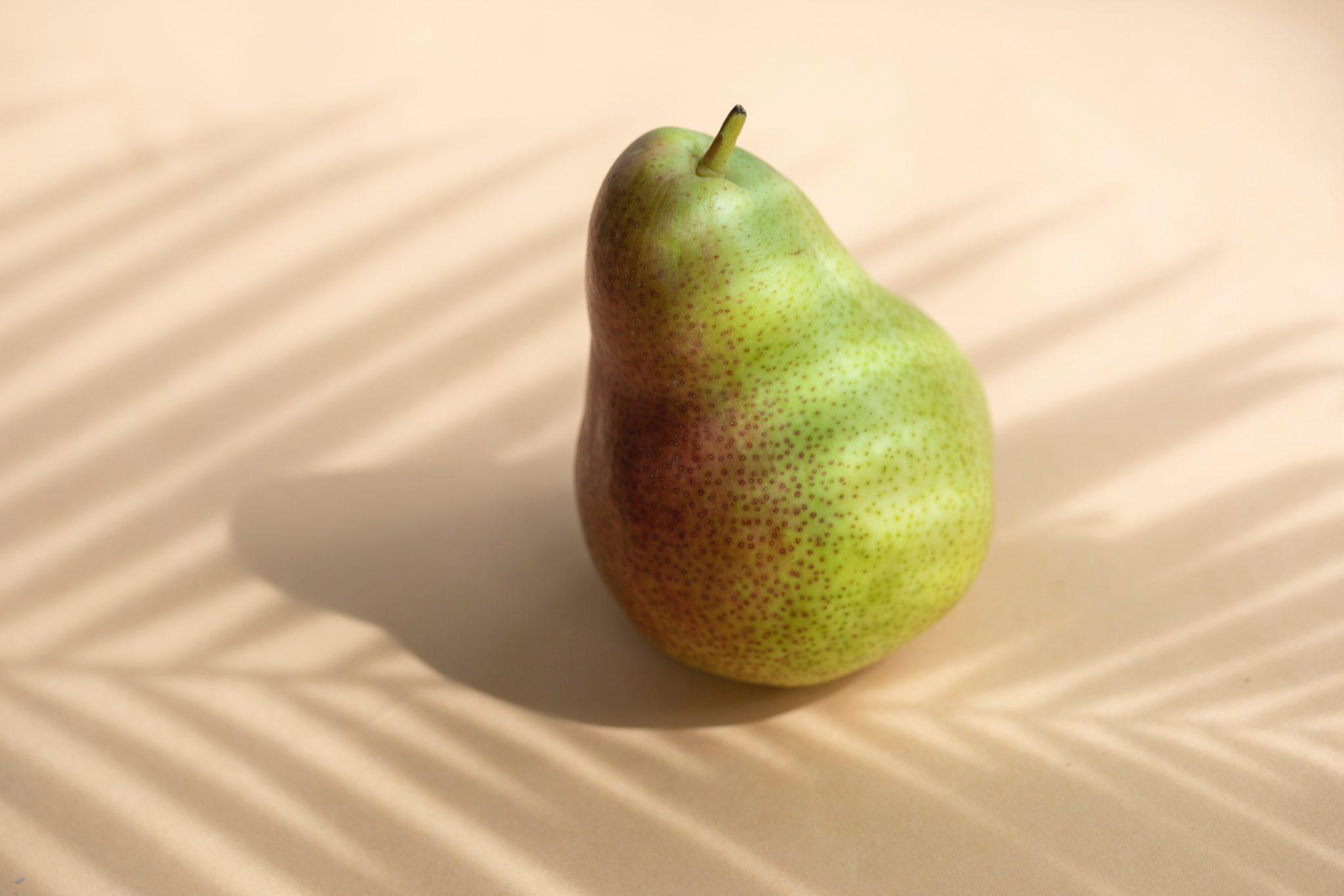 Queen Palm Fruit Is It Edible queen-palm-fruit-is-it-edible