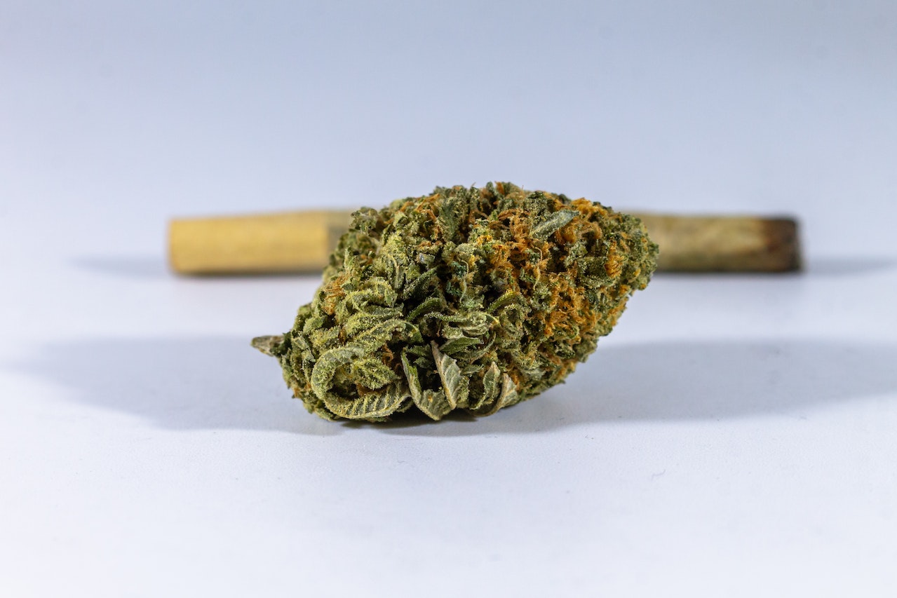 A Beginners Guide To Using Cbd Flowers